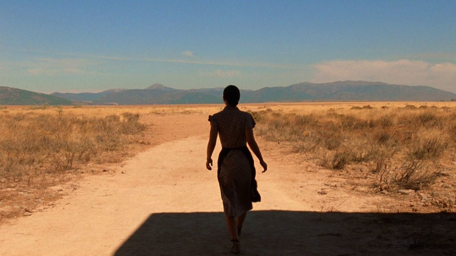 The Devil’s Backbone